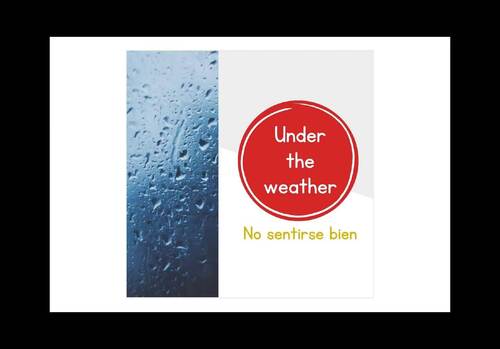 ESL Classroom Posters/Display: Idioms, Tongue Twisters, Phrasal Verbs ...