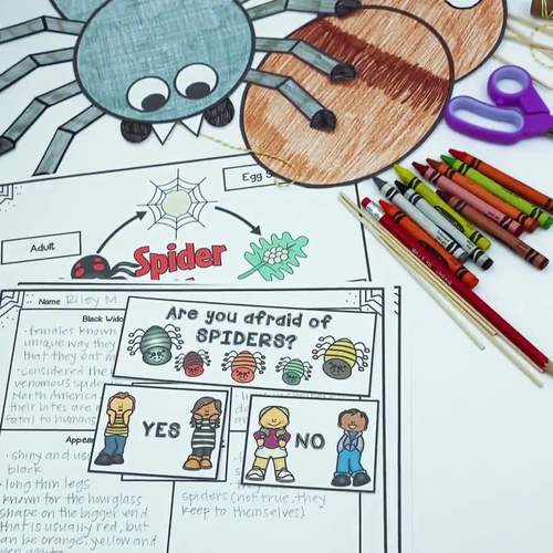 All About Spiders | A Spider Unit for 1st 2nd and 3rd Grade | Spider Crafts