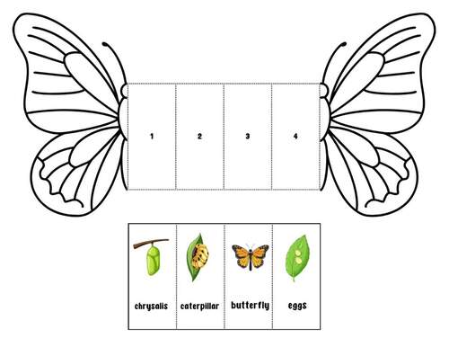 Life Cycle of a Butterfly | Sequencing Spring Craft | life cycle of a plant