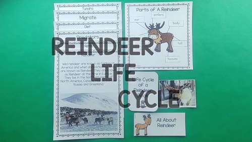 Reindeer Caribou Animal Fact Activity Packet - Life Cycle Mini Book ...