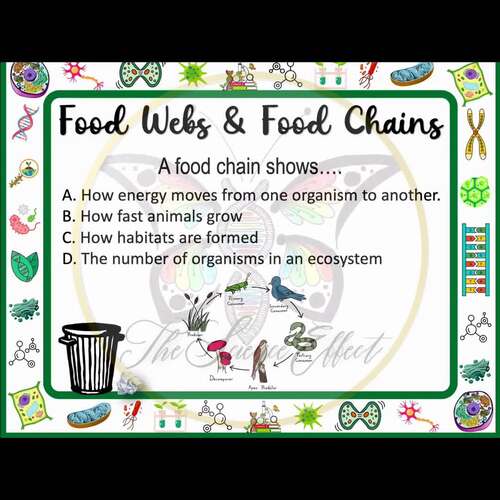 Food Webs & Food Chains Crumple & Shoot Game ~ Trashketball Science ...