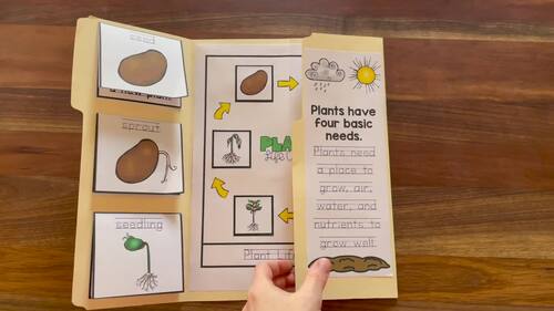 Plant Life Cycle Lapbook Plants and Seends Plants Unit What Plants Need ...