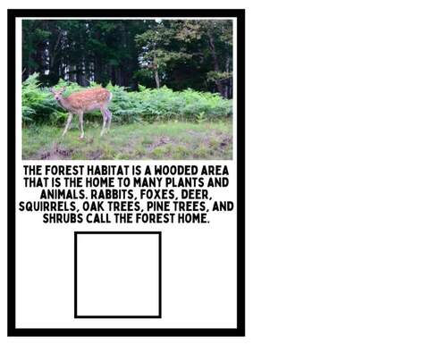 Adapted Book for Special Education (interactive book) Adapted Science ...