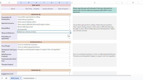 BIRP Progress Note Generator Psychotherapy Counseling Notes Treatment ...