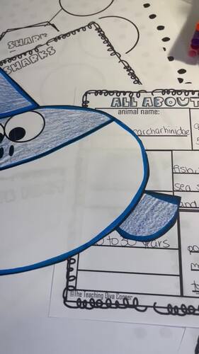 Non Fiction All About Sharks Animal Report Shark Week | TPT