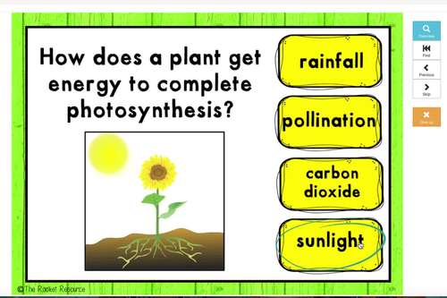 Plants BOOM™ Cards | Plant parts, photosynthesis, life cycle, seeds