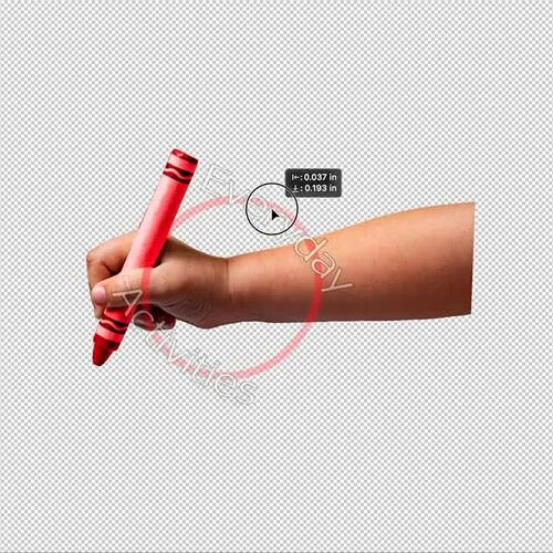 Stock Photo Red Crayon Child Hand Holding - Transparent Background