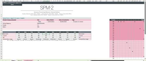 SPM-2 School Form Ages 5–12 Automated Scoring Template – Excel Spreadsheet
