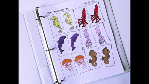 Sea Animals Binder- Binder Basics Work System | TpT