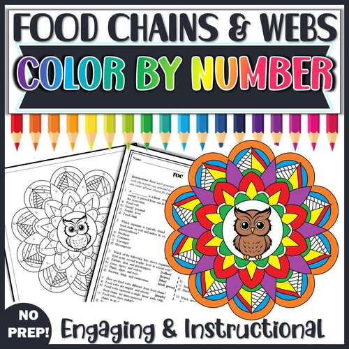 Food Chains and Webs Color by Number | Biology Review Worksheet Activity