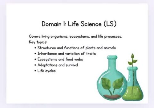 3rd Grade Science Task Cards | Life, Earth, Physical & Engineering Domains