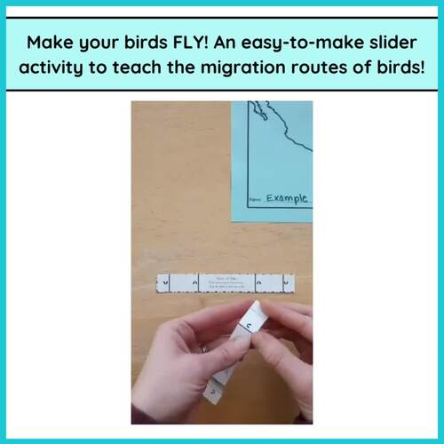 "Where Birds Migrate" | Combine Geography & Science with these Hands-on ...