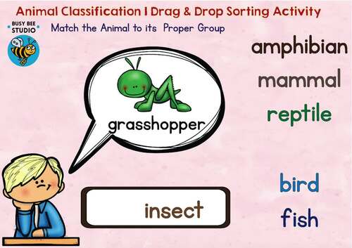 Animal Classification Boom Cards Game by Busy Bee Studio | TPT