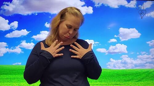 ASL Unit 1 Video 17 by Melissa Sexton | TPT