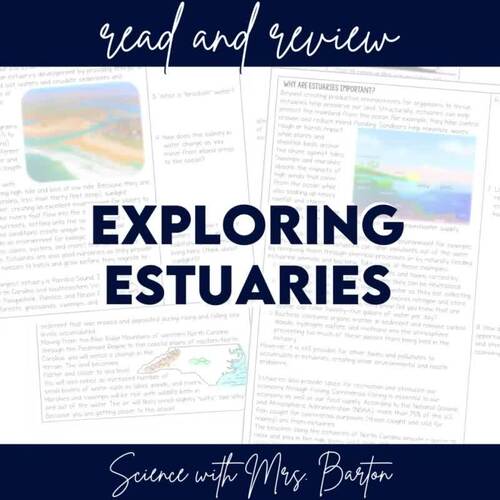 Earth's Hydrosphere - Exploring Estuaries Read and Review | TPT
