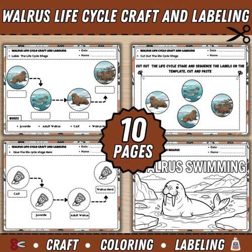 Walrus Life Cycle Craft and Labeling | Winter Science Activity | Arctic ...