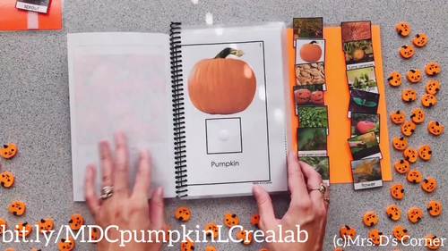 Life Cycle of a Pumpkin Adapted Book [ Level 1 and 2 ] | Pumpkin Life ...