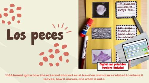 Los peces by Cloud Ten | TPT