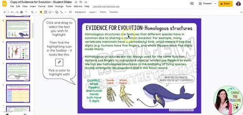 Evidence of Evolution Activities and Quiz DIGITAL - Types of Evidence
