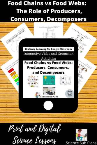 Food Chains vs Food Webs: The Role of Producers, Consumers, and Decomposers