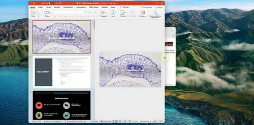 AP Biology Unit 4 Cell Communication - Editable Powerpoints | TPT