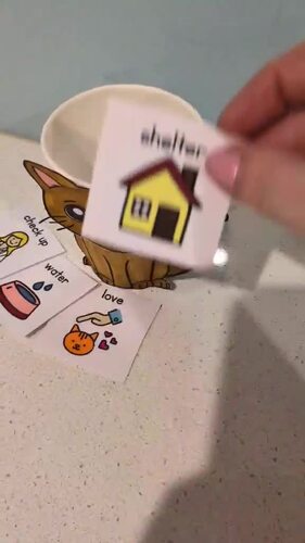 Needs of Living Things Activities | Science Crafts, Posters & Worksheets