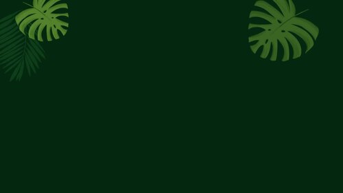 Toucan Classroom Decor Bundle by creativeinelementary | TPT