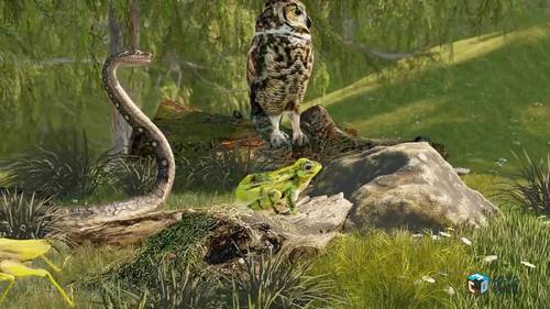 Food chains - Elementary HD video - High quality HD Animated Video ...