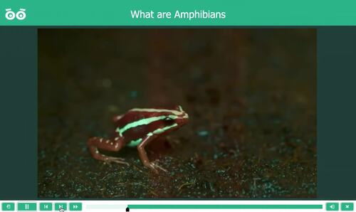 Amphibians Unit: Interactive Lesson | Self-Grading Activities | Video ...