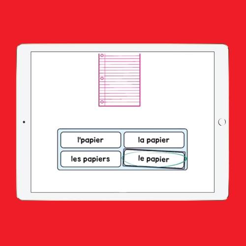Le la l' ou les | Les articles définis cartes boom | La grammaire française