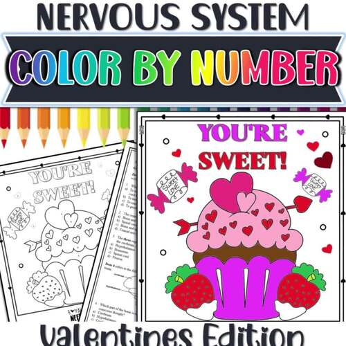 Nervous System Valentine's Day Color by Number | Valentines Science ...