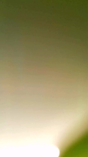 Back to School Craft Backpack Craftivity Bulletin Board Idea Template B ...