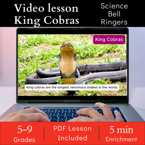 Science bell ringer video (4 min) - King cobras - Middle school | TPT