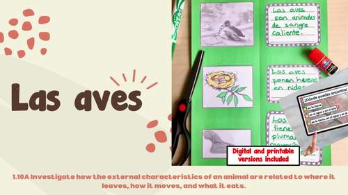 Las aves by Cloud Ten | TPT