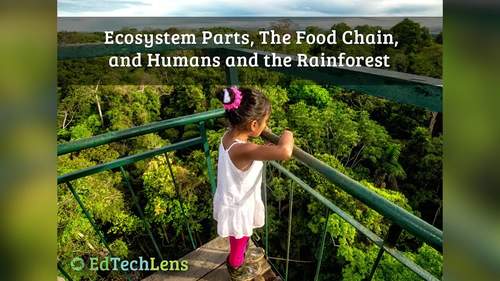 Energy in Ecosystems, Food Chains, & Humans in the Rainforest Habitat ...