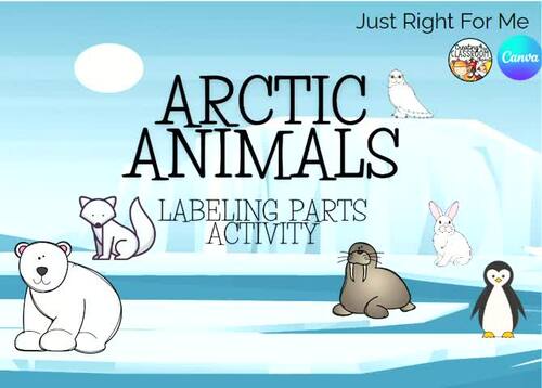 Arctic Animals Labeling Parts Activity Boom Cards by Just Right For Me