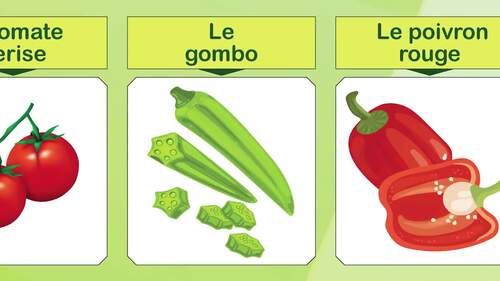 Les Légumes, FRENCH Vegetables Vocabulary Large Posters (118.9x84.1cm)