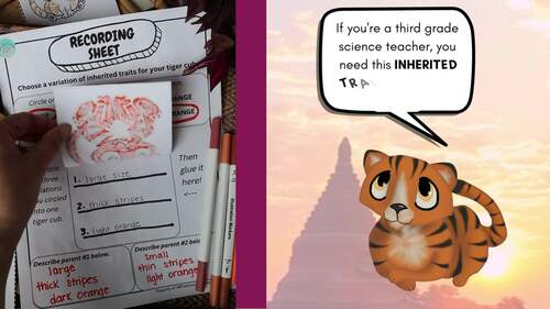 Inherited Traits, Variation of Traits, and Mutations STEAM Project for NGSS