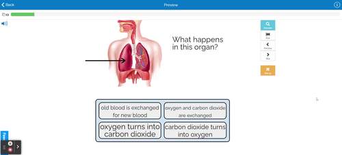 Respiratory System Boom Cards by JayZee | TPT