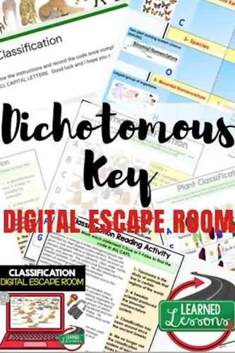 Classification Digital Escape Room Breakout Room Classification Activity