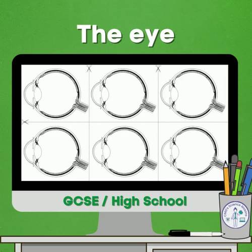 The eye (GCSE) by CMGs Science lessons | TPT
