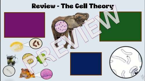 Prokaryotes vs Eukaryotes PowerPoint Slideshow (+ Guided Notes & Study ...