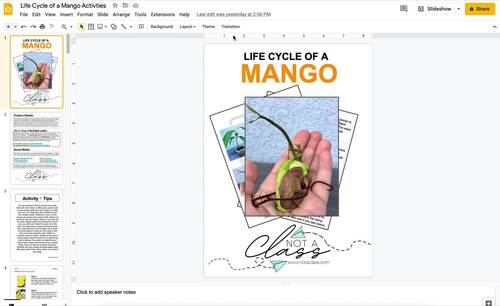 Life Cycles of a Mango and Avocado Activity Sheets - Bundle by Not A Class
