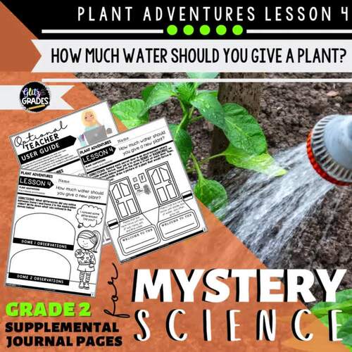 Mystery Science 2nd Grade SUPPLEMENT Plant Adventures Lesson 4 Needs ...