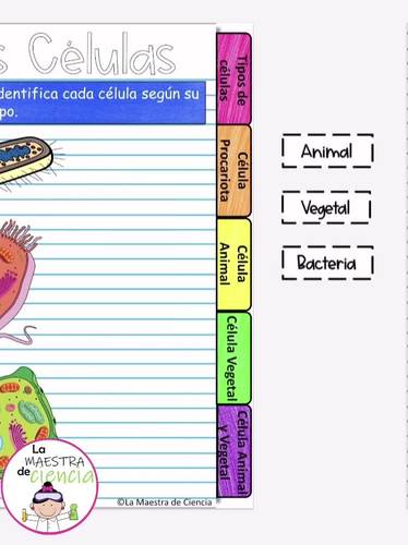 La Célula : Libreta Digital y Presentación PowerPoint BUNDLE | TPT
