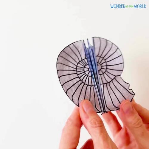 How a fossil is formed sequence fold cut and paste craft activity 3rd 4th grade