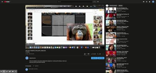 END OF NOVEL PROJECT LIFE OF PI | CREATE, EVALUATE, ANALYZE | END OF ...