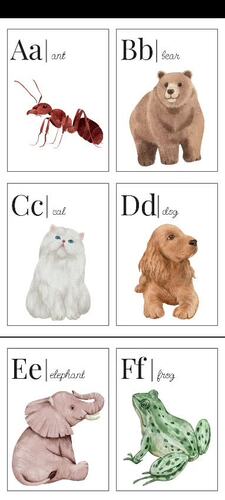 Waldorf & Montessori inspired ABC flashcards. by TDET Miss Laura