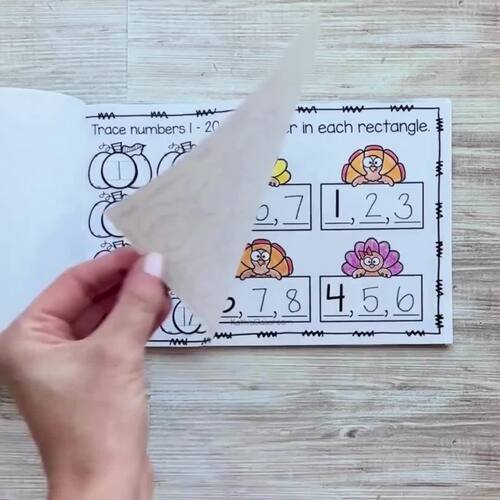 Kindergarten Thanksgiving Math Activity Book! Numbers | Counting | Add ...