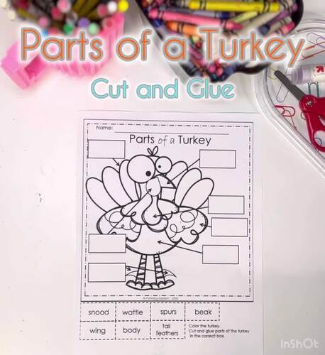 Thanksgiving Turkey Life Cycle | Parts of a Turkey {fall, thanksgiving ...